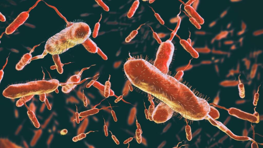 Kolera Nedir? Belirtileri ve Tedavi Yöntemleri - Gammaz